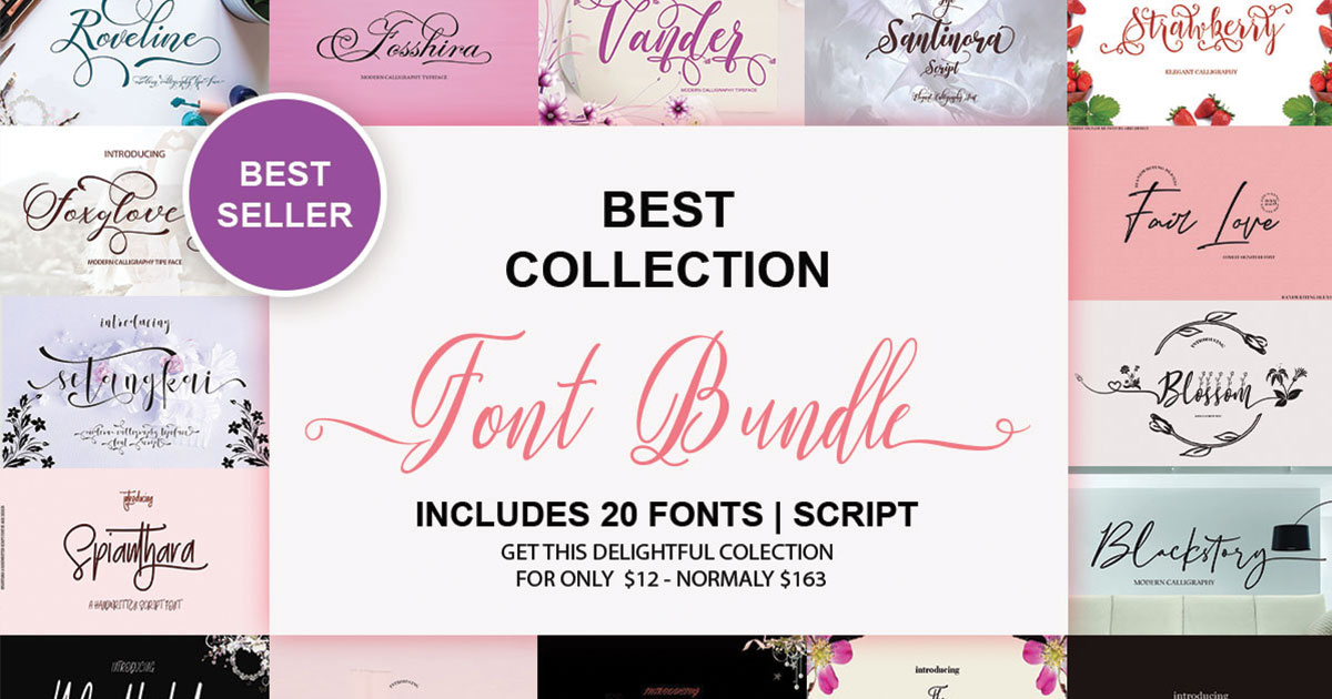 Best Collection Font Bundle Bundle · Creative Fabrica