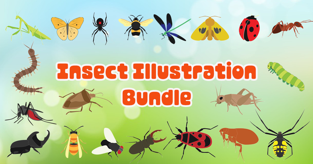 Insect Bundle · Creative Fabrica