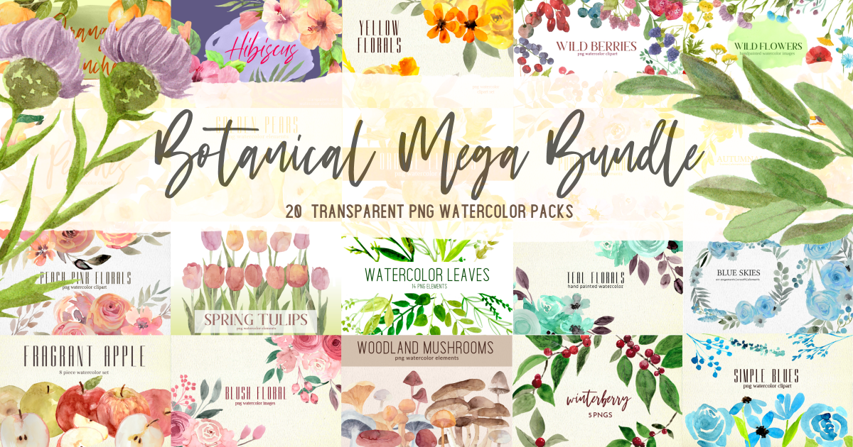 Watercolor Botanical Illustration Bundle Bundle · Creative Fabrica