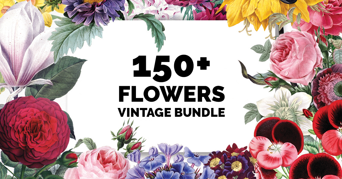 Flower Vintage Bundle Bundle · Creative Fabrica