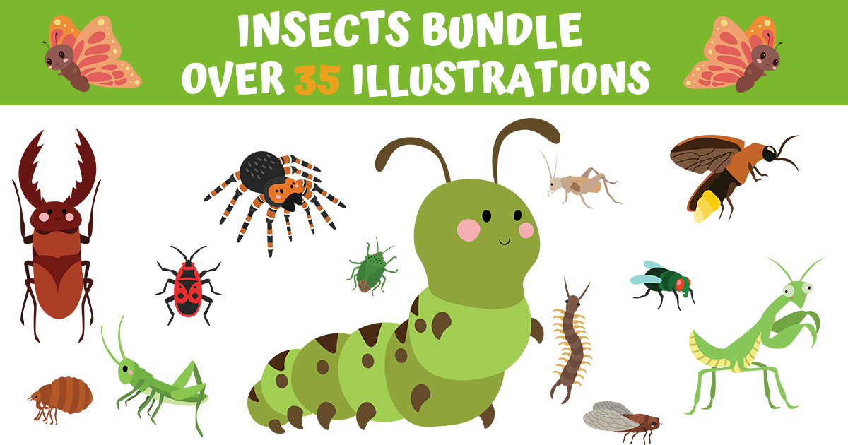 Insects Bundle Bundle · Creative Fabrica