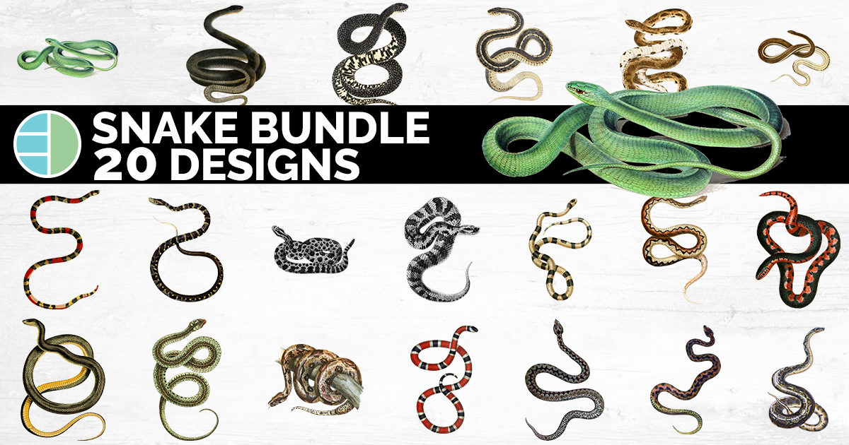 Snake Bundle Bundle · Creative Fabrica
