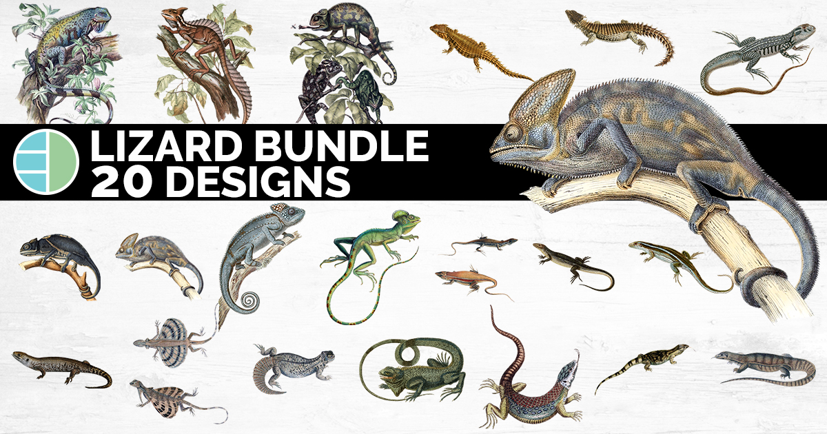 Lizard Bundle Bundle · Creative Fabrica