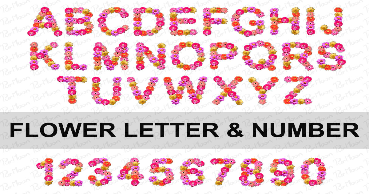Flower Letter and Number Font Bundle Bundle · Creative Fabrica