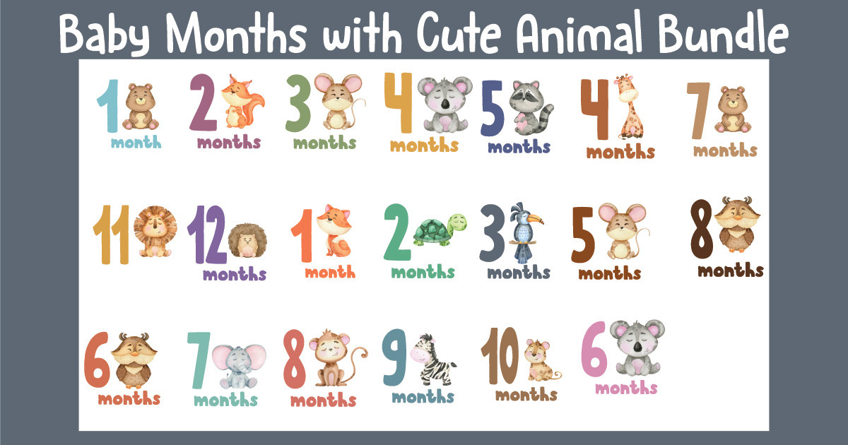 Baby Months with Cute Animal Bundle Bundle · Creative Fabrica