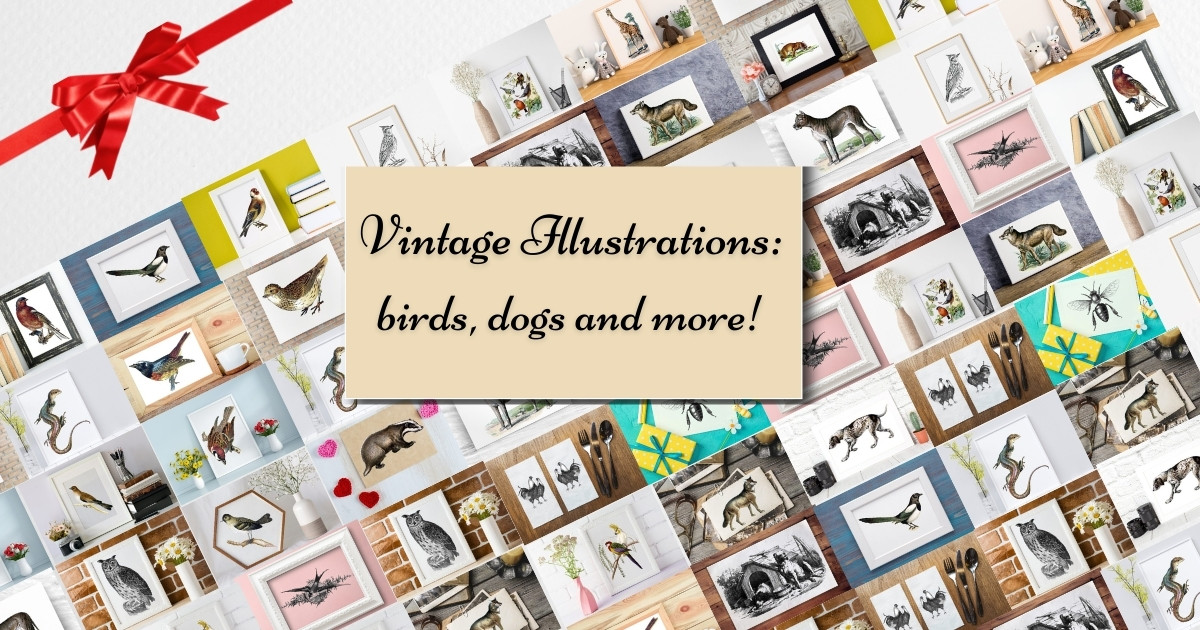 Vintage Illustrations Birds & Dogs Bundle Bundle · Creative Fabrica