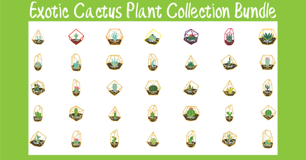 Exotic Cactus Plant Collection Bundle Bundle · Creative Fabrica